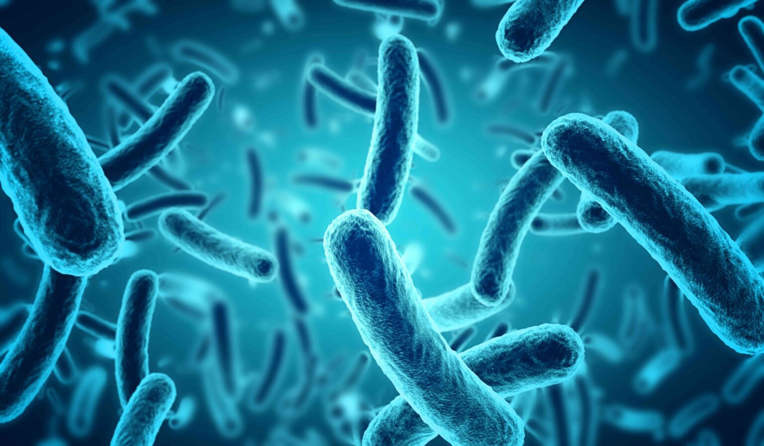 How Many Bacteria Are in the Mouth? Wylie | Wylie Children's Dentistry